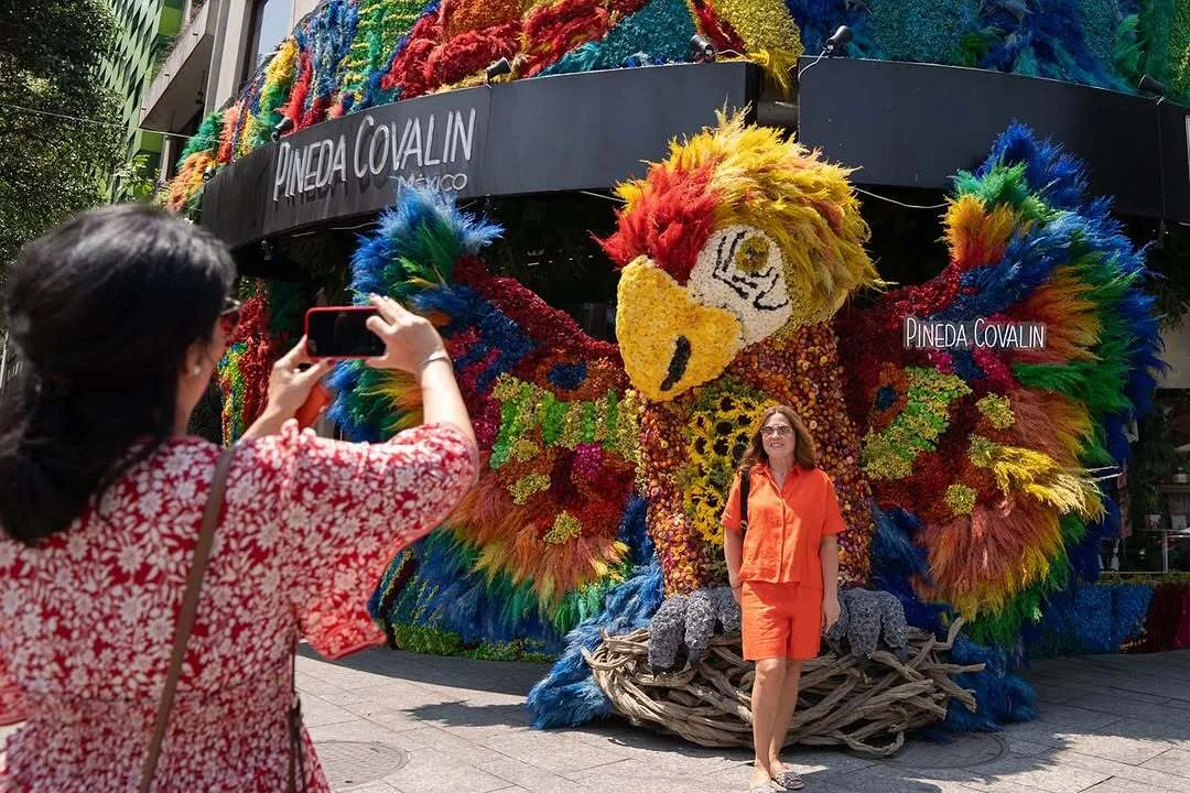 ¡No te puedes perder el Festival de Flores y Jardines Polanco 2026 ...